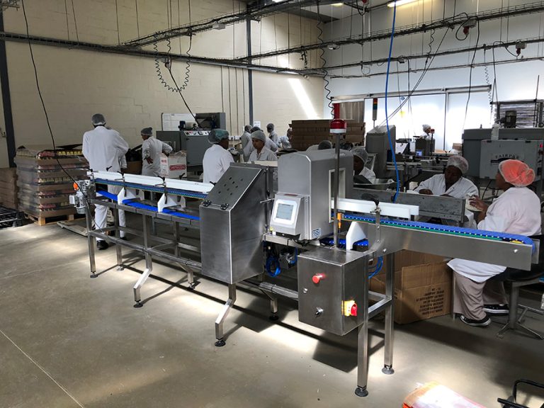 Metal Detectors - BMSC Engineering | Metal Detectors, X-Ray, Check ...